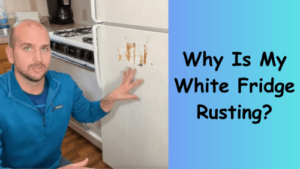 How to Remove Rust From White Refrigerator Door? Easy Solution
